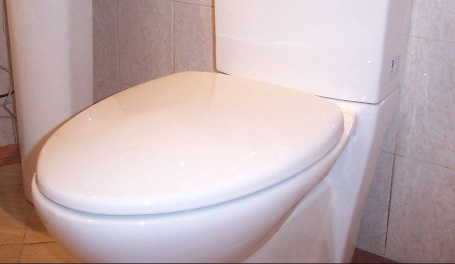 凱撒(CAESAR)二段式省水馬桶 CF1340 | KOHLER章記衛廚(CBK)-衛浴廚具