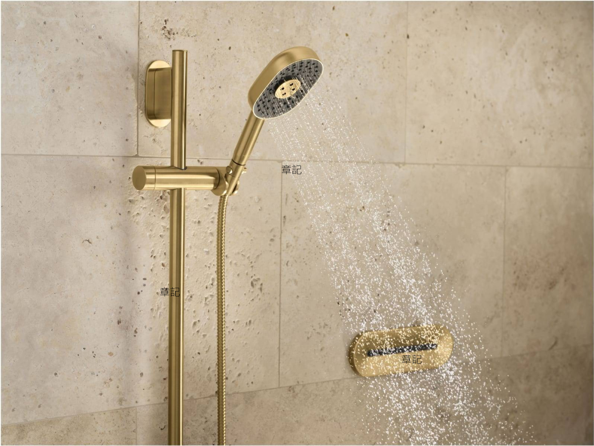 KOHLER Statement 多功能手持花灑蓮蓬頭(摩登金) K-26284T-2MB | KOHLER章記衛廚(CBK)-衛浴廚具