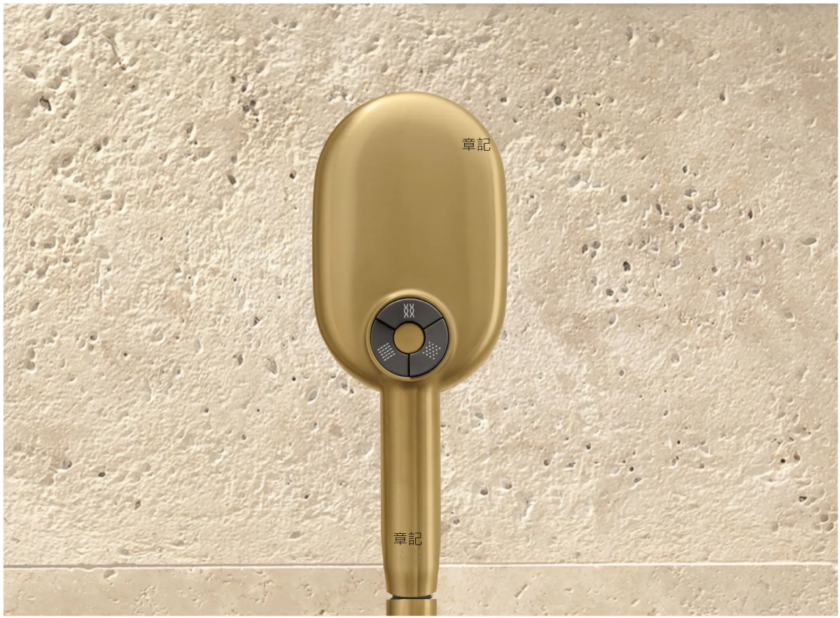KOHLER Statement 多功能手持花灑蓮蓬頭(摩登金) K-26284T-2MB | KOHLER章記衛廚(CBK)-衛浴廚具