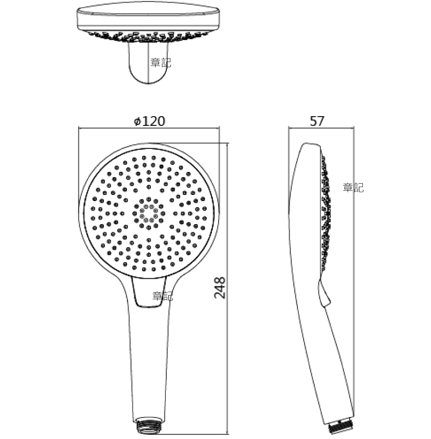 凱撒(CAESAR)蓮蓬頭 SH233B | KOHLER章記衛廚(CBK)-衛浴廚具